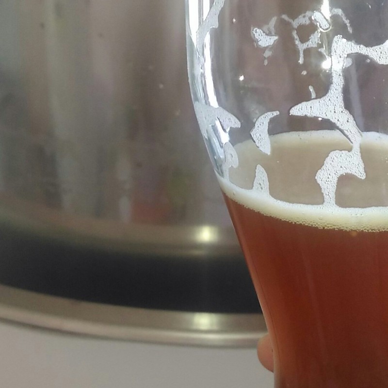 Bière India Pale Ale Ambrée IPA 33cl